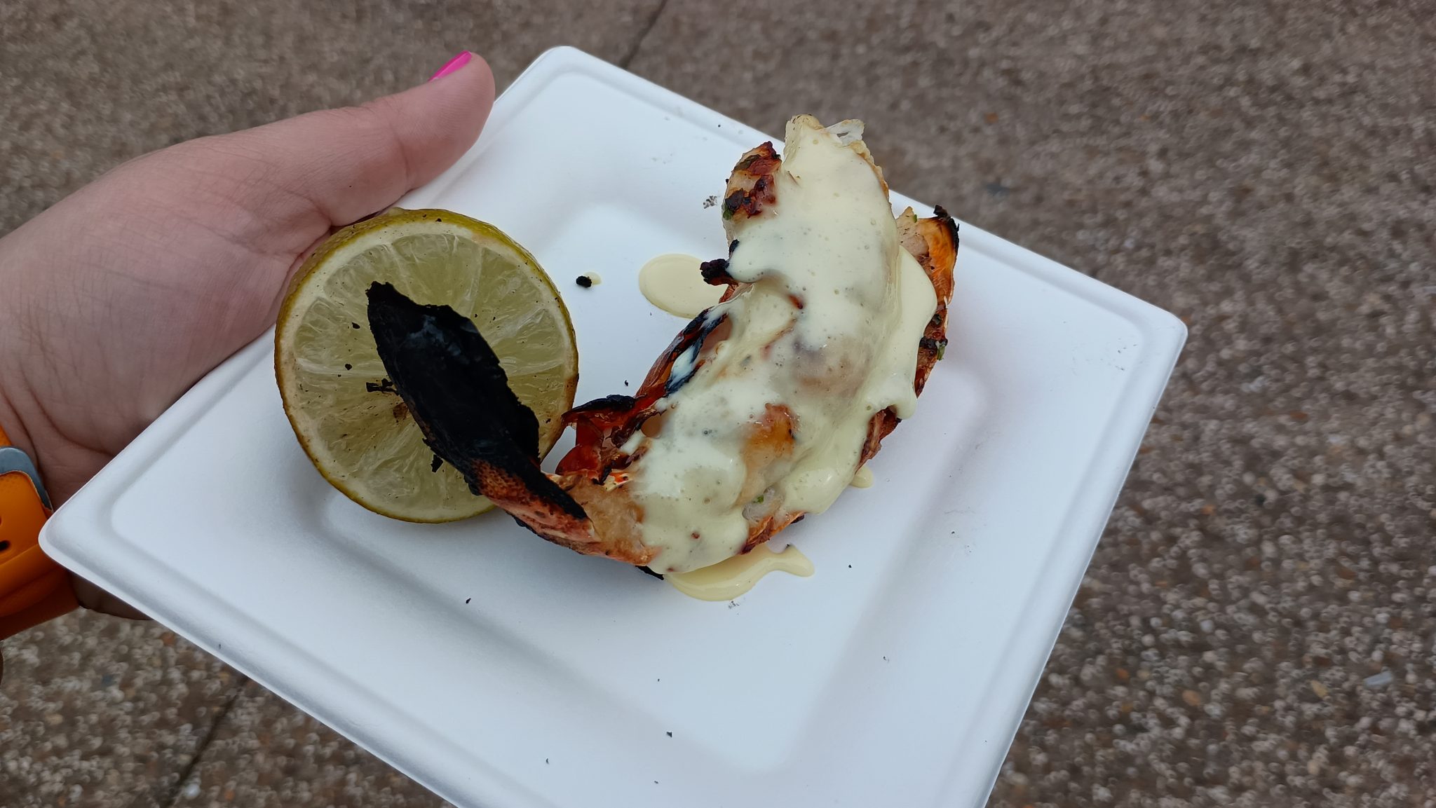 Maximizing Your Magic: Best Ways to Use Disney Dining Plan Credits in 2025 - Society 1955